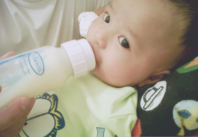 Susu Halal dan Sehat untuk Java – to travel is to live